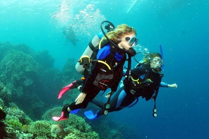 SSI | Padi Open Water Course in Phuket - Why You’ll Love This Tour