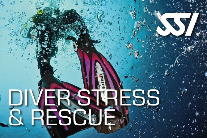 SSI Rescue Diver Course in Tenerife - What Makes the SSI Rescue Diver Course in Tenerife Worth Considering?