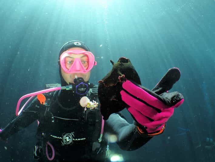 SSI Try Scuba Diving in the sea - What to Expect in Malta’s SSI Try Scuba Experience