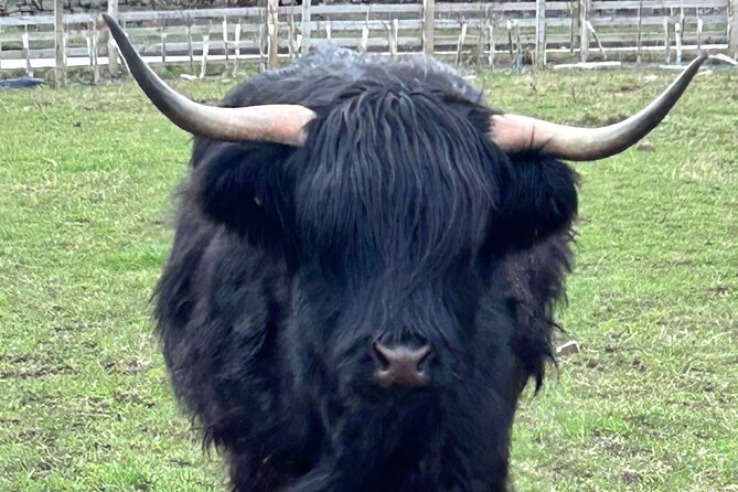 St Andrews & Fishing Villages of Fife Private Tour from Glasgow - Authenticity and Local Flavor