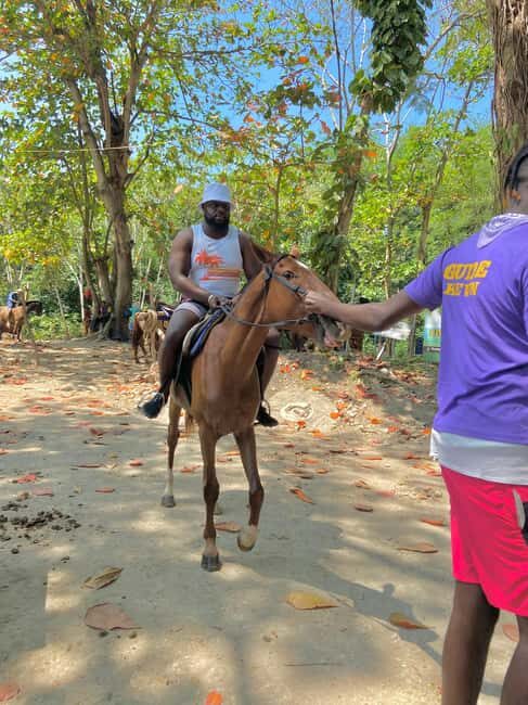 St. Ann: Horseback Riding in St. Anns Bay - An In-Depth Look at the Experience