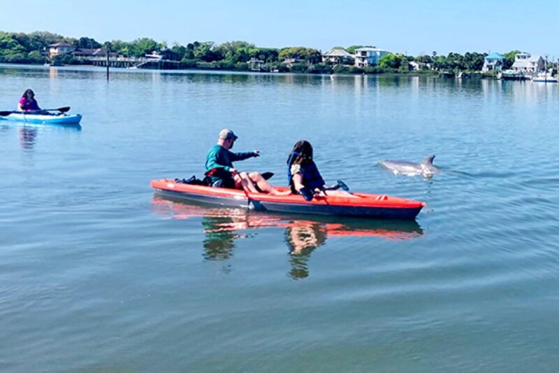 St. Augustine: Dolphin and Manatee Paddle or Kayak Tour - Who Will Love This?