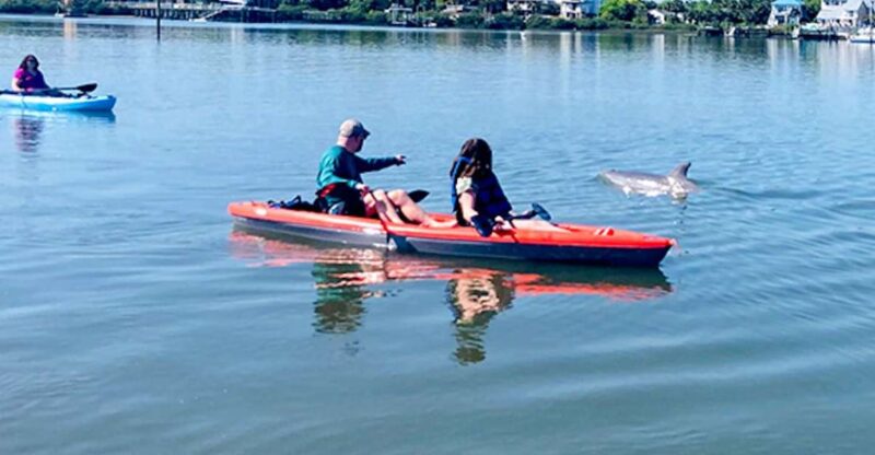St. Augustine: Dolphin and Manatee Paddle or Kayak Tour - Final Thoughts: Is It Worth It?