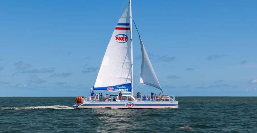 St. Augustine: Dolphin Watching Harbor Tour with Drinks - Key Points