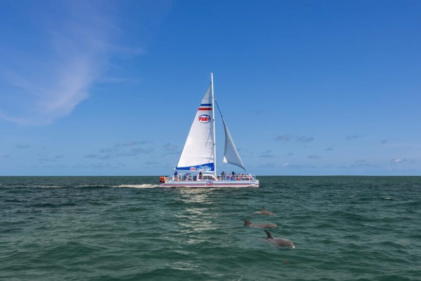 St. Augustine: Dolphin Watching Harbor Tour with Drinks - Frequently Asked Questions