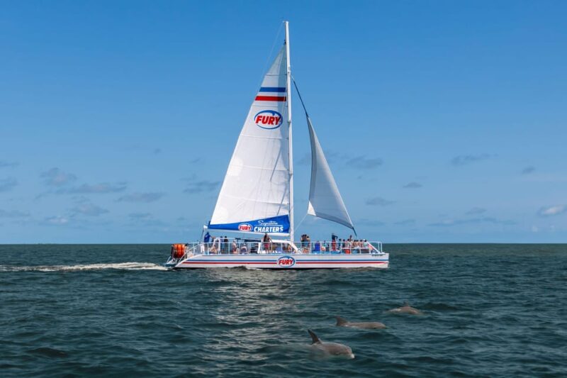 St. Augustine: Dolphin Watching Harbor Tour with Drinks - Key Points