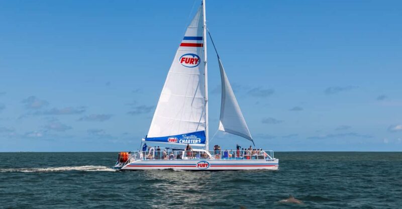 St. Augustine: Dolphin Watching Harbor Tour with Drinks - The Sum Up