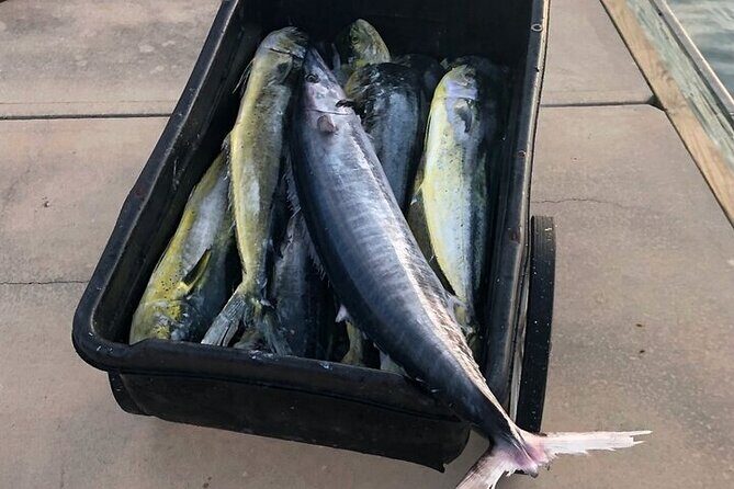 St. Augustine Fishing Charter Experience - What to Expect from the Fishing Experience