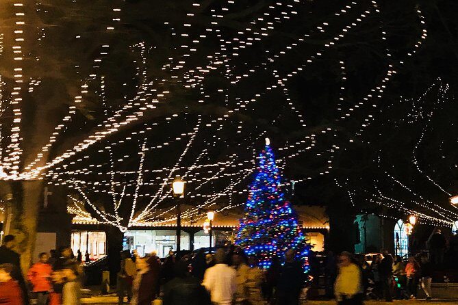 St. Augustine Nights of Lights Celebration from Orlando - Who Will Love This Tour?