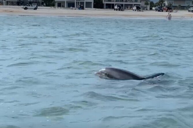 St. Augustine Private Day or Sunset Boat Tour, 6 passengers max - Who Will Love This Tour?