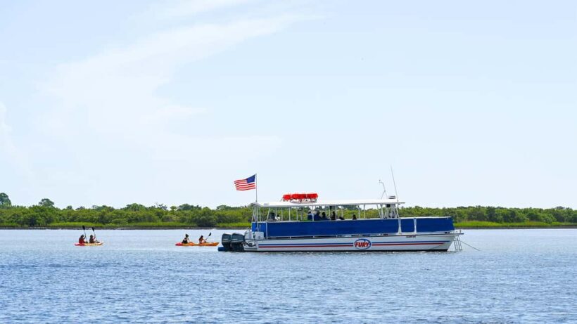 St. Augustine Wildlife Adventure: Boat Cruise & Kayak Tour - The Sum Up