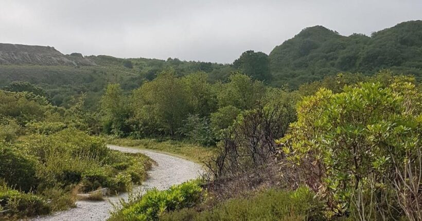 St Austell: Cornish Clay Country Guided Walk - An Authentic Walk Through Cornwall’s Clay Country