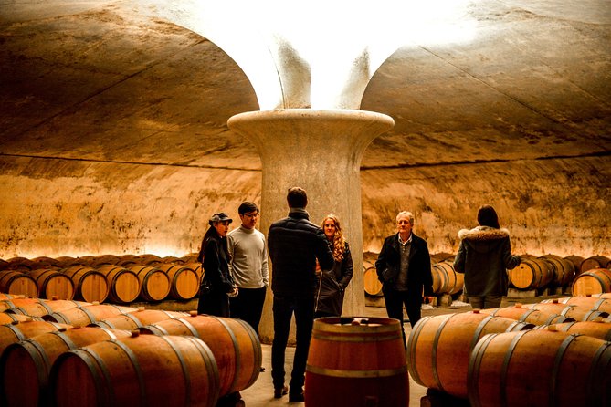 St-Emilion & Médoc Combine Day Tour Including Wine Tastings and Lunch - Wine Tastings and Culinary Delights