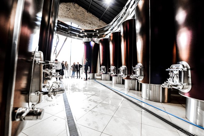 St-Emilion & Médoc Combine Day Tour Including Wine Tastings and Lunch - Unique Experiences in Saint Emilion
