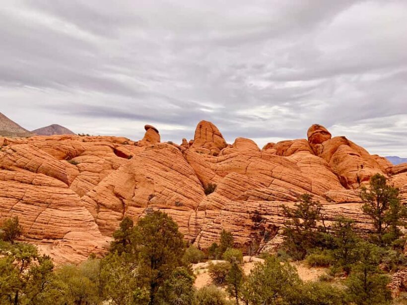 St. George: Jeep Exploration Slot Canyon & Rock Formations - Introduction: Why This Tour Stands Out