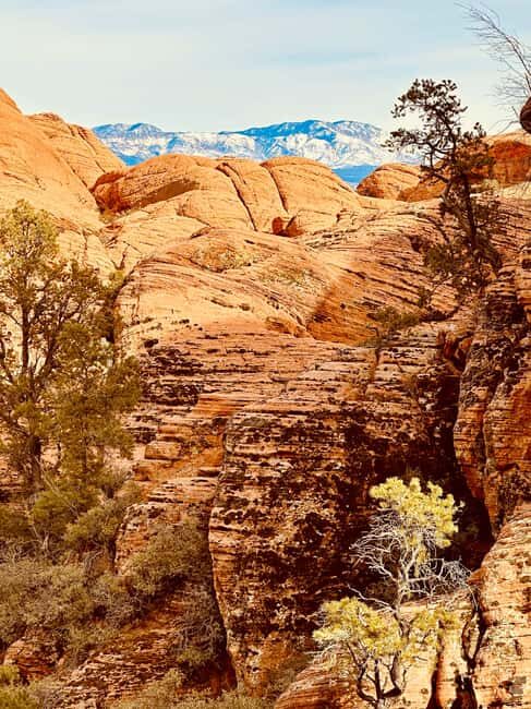 St. George: Jeep Exploration Slot Canyon & Rock Formations - FAQ – Practical Questions & Answers