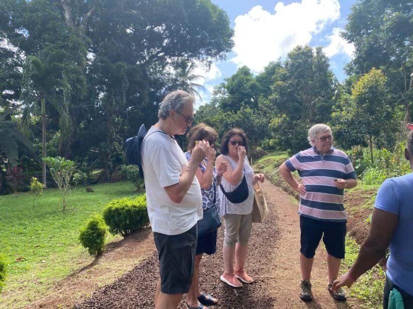 St. George's: Half-day spice and waterfall tour - Key Points