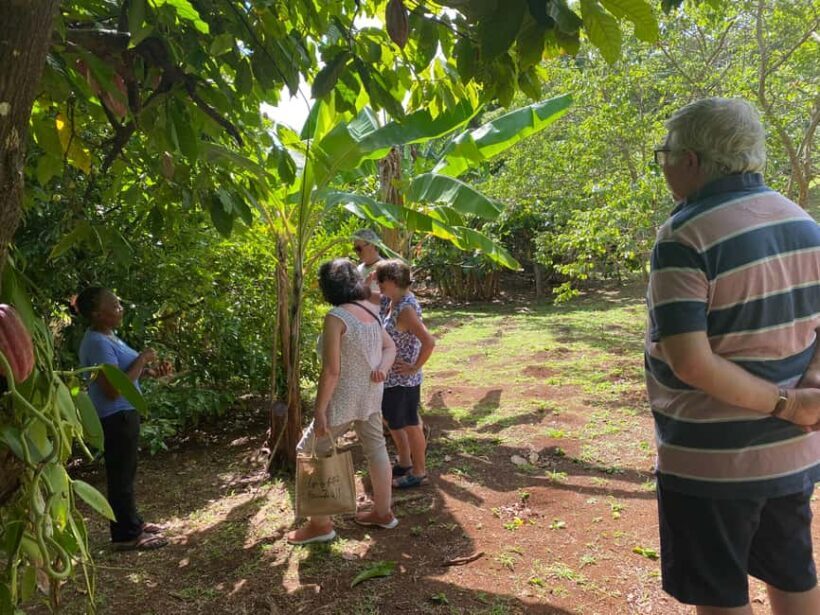 St. George's: Half-day spice and waterfall tour - What to Expect on the Tour