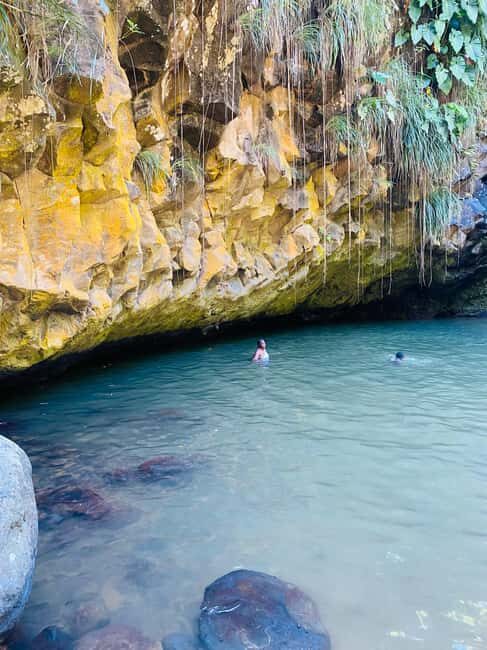 St. George's: Half-day spice and waterfall tour - The Sum Up