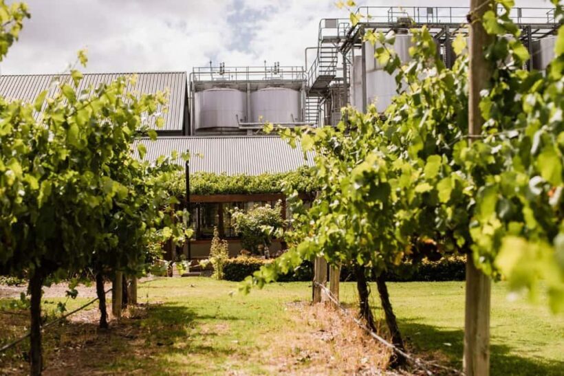 St Hallett - Barossa Masters of Shiraz Tasting & Platter - Who Will Love This Experience?