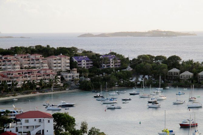 St John Island and Trunk Bay Beach Tour - A Deep Dive into the Experience