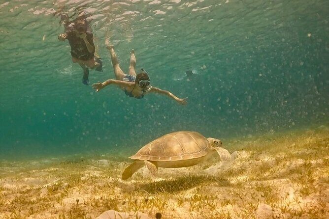 St John -Jeep Ride with A Guide! Customize Itinerary Your Way! - Transportation, Timing, and Comfort