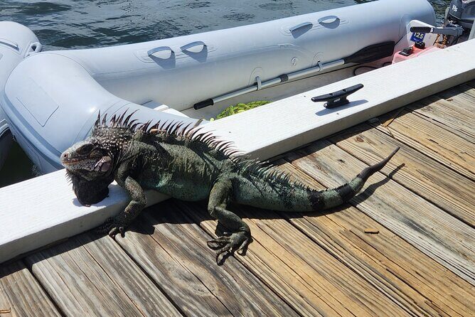 St John -Jeep Ride with A Guide! Customize Itinerary Your Way! - Who Should Consider This Tour?