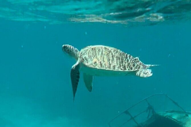 St John -Jeep Ride with A Guide! Customize Itinerary Your Way! - Frequently Asked Questions