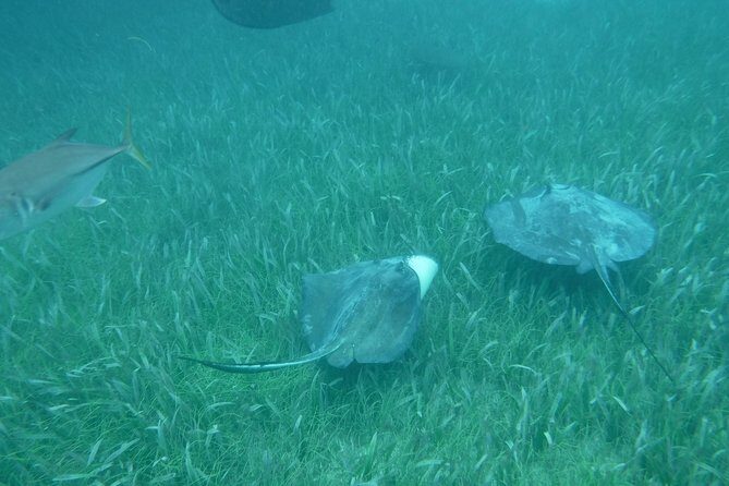 St John & Surrounding Cays - Full-Day Sail/Snorkel, 6 Guests Max - Who Should Consider This Tour?