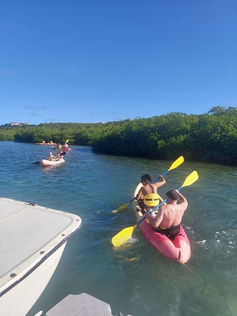 St. John's, Antigua Kayak, Snorkeling, & Beach Bird Island - Key Points