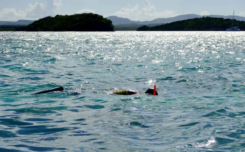 St. John's, Antigua Kayak, Snorkeling, & Beach Bird Island - An Authentic Taste of Antigua’s Wilderness