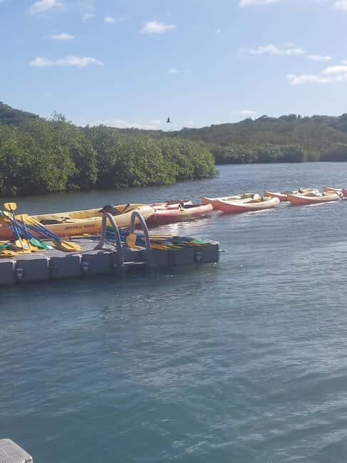 St. John's, Antigua Kayak, Snorkeling, & Beach Bird Island - Practical Details and Tips