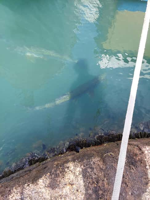 St. John's: Discover The Real Antigua Island Tour Experience - Starting Point and Logistics