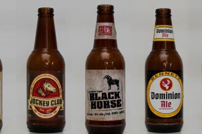 St. John's Local Pub Tour & History Lesson - Practical Details and Tips