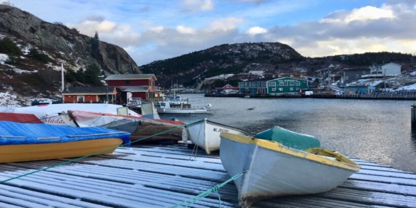 St Johns Premium Tour with Iceberg Quest Boat Cruise - FAQ