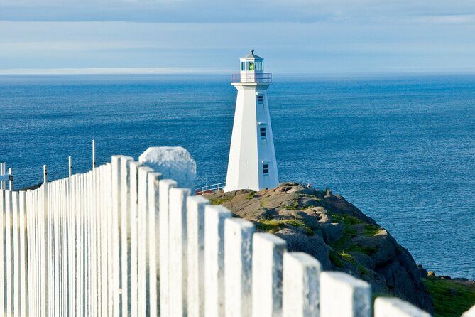 St. John's, Quidi Vidi Village & Signal Hill Small Group Tour - The Sum Up