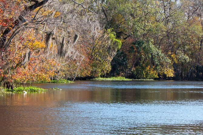 St. Johns River Cruise - Blue Spring State Park - Logistics and Meeting Details