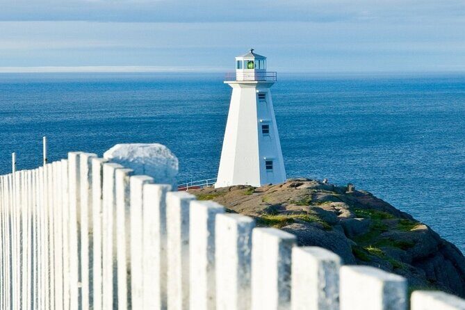 St. Johns Small Group Tour with Iceberg Quest Boat Cruise - Who Should Consider This Tour?
