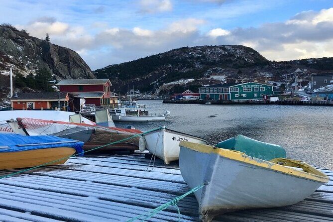 St. Johns Small Group Tour with Iceberg Quest Boat Cruise - Final Thoughts