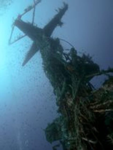St Julians: Discover Scuba Diving Experience - An In-Depth Look at the Malta Discover Scuba Tour