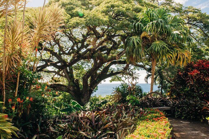 St. Kitts Full Island Excursion - An In-Depth Look at the St. Kitts Full Island Excursion