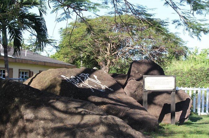 St. Kitts Half-Day Rainforest Tour - Highlights Along the Way: Culture and Nature