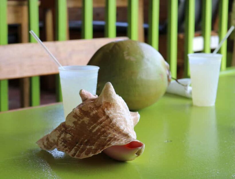 St. Kitts: Nevis Island Tour and Beach Time with Lunch - Key Points