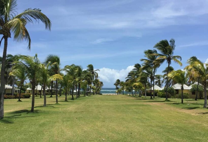 St. Kitts: Nevis Island Tour and Beach Time with Lunch - Authenticity and Review Insights