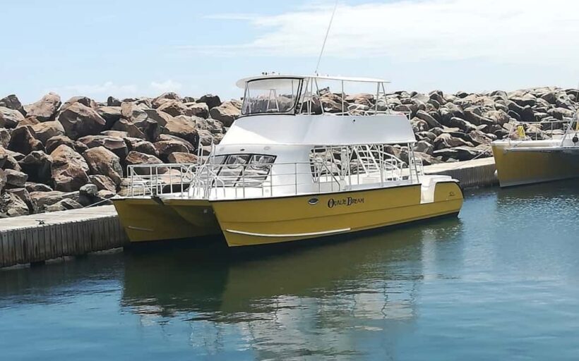 St. Kitts: Nevis Island Tour and Beach Time with Lunch - The Sum Up: Is This Tour Worth It?