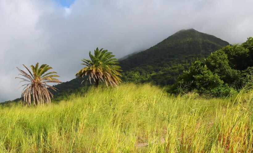 St. Kitts: Nevis Island Tour with Lunch and Guide - The Journey Begins: From St. Kitts to Nevis