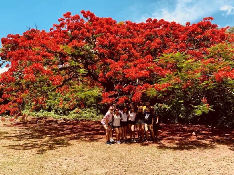 St. Kitts: Private Island Highlights Shore Excursion - Authentic Experience and Genuine Value