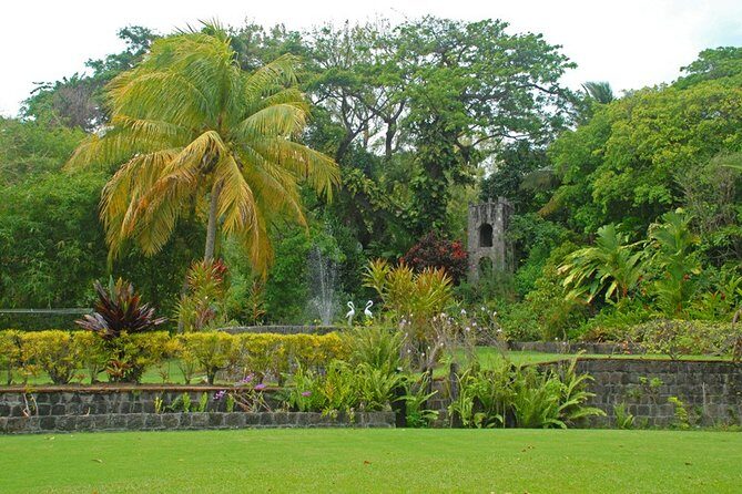 St Kitts Rainforest Tour - The Sum Up