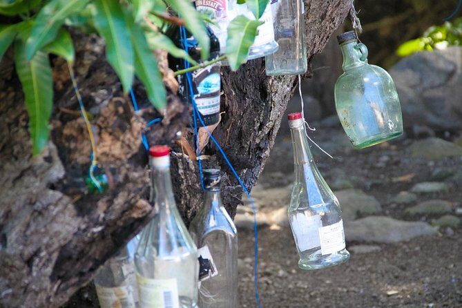 St. Kitts Rainforest Tour - Who Should Consider This Tour?