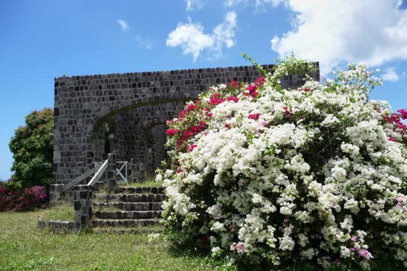 St. Kitts: Top Sights Guided Van or Open-Air Safari Tour - The Sum Up